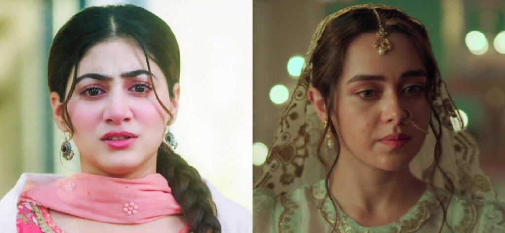 Spoiler Alert : Heer refuses to give up on Nawab, Mahid and Seher ...